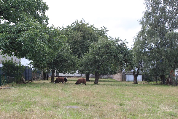 Spotlight on Villages in Luxembourg: Goesdorf