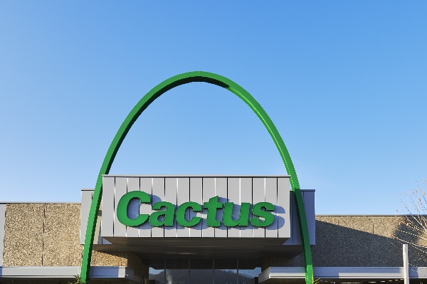 Cactus Celebrates 50th Anniversary